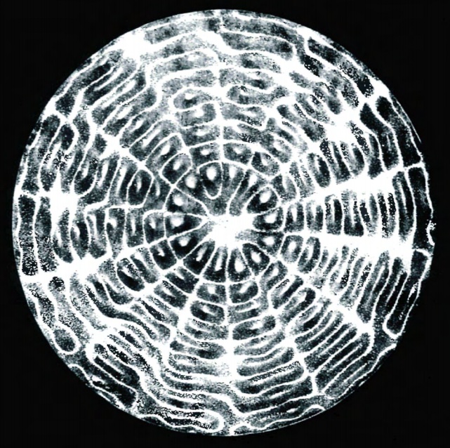 Hans Jenny and The Sound Matrix – Shockwave-Sound Blog and Articles